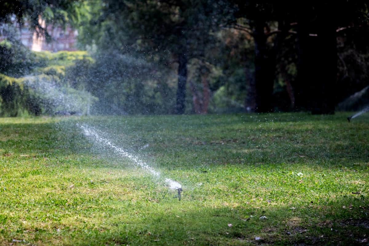 3 Reasons Why Water Management Technology Will Change Your Lawn - Life ...